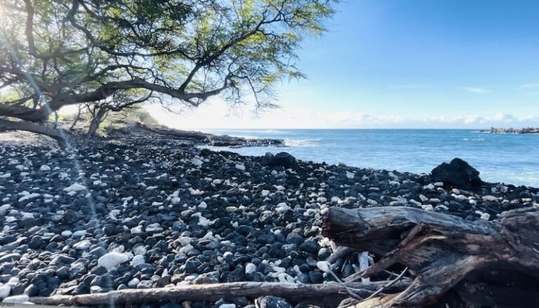 6 Jaw-Dropping Maui Trails for Epic Nature Hikes - Maui Trip Guide ...