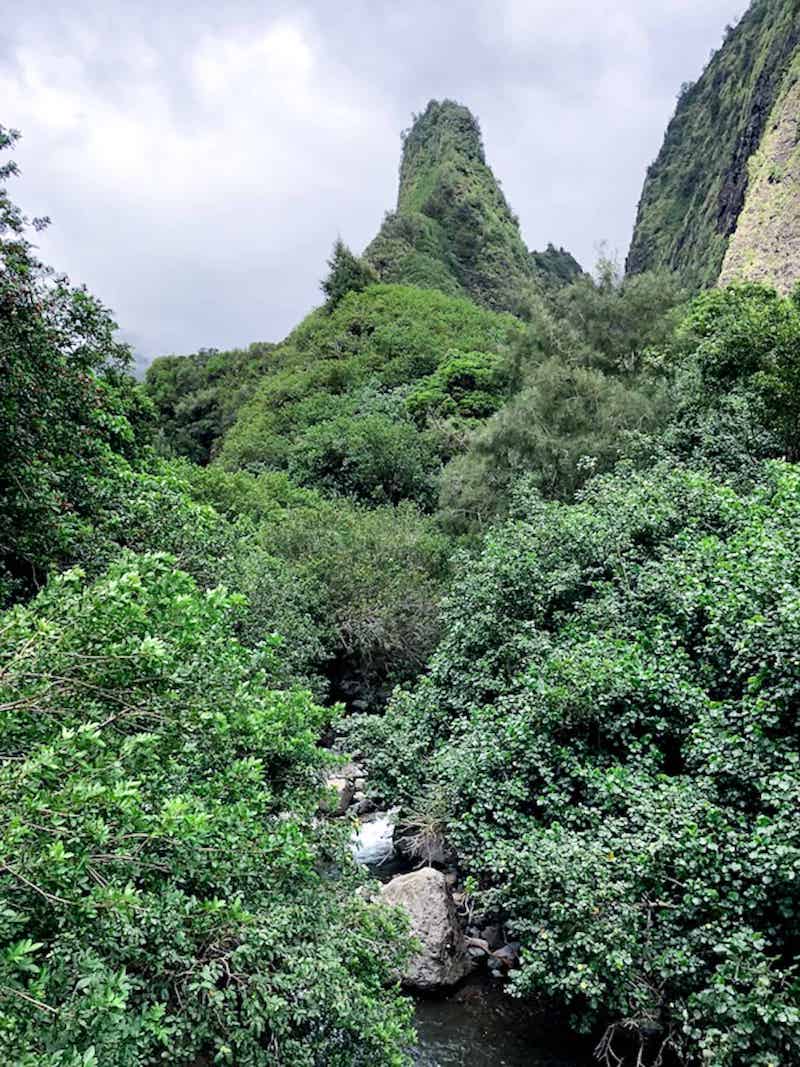 6 Jaw-Dropping Maui Trails for Epic Nature Hikes - Maui Trip Guide ...