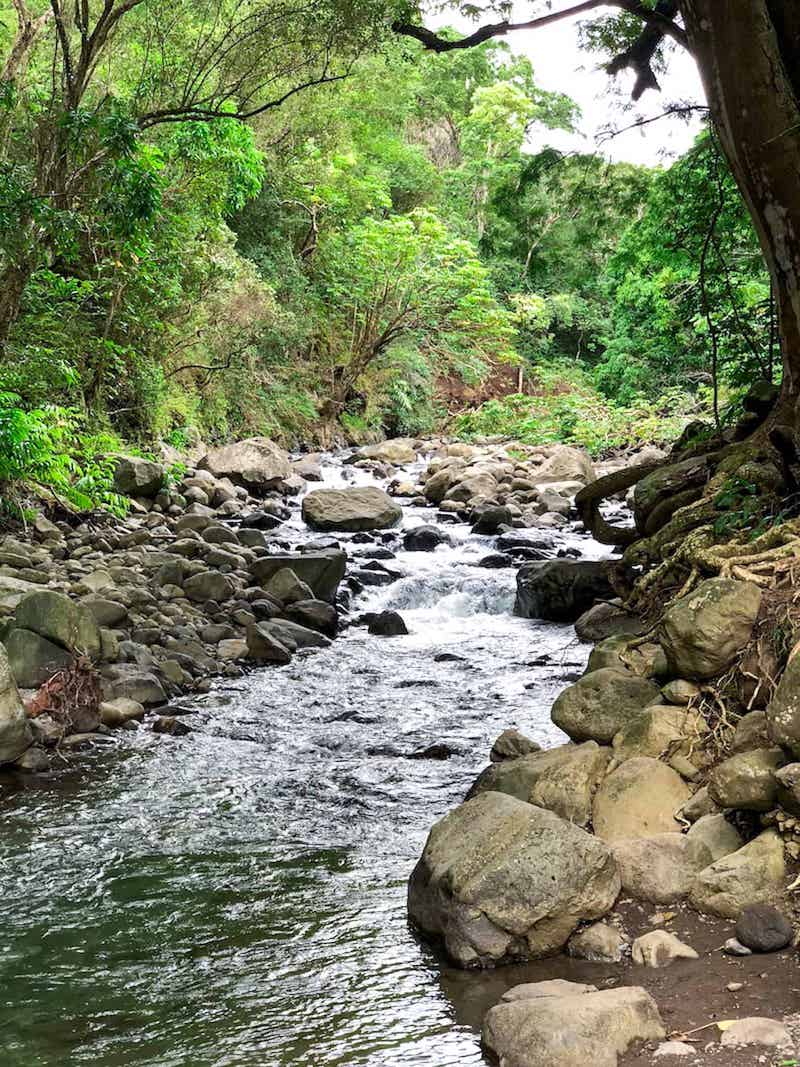 6 Jaw-Dropping Maui Trails for Epic Nature Hikes - Maui Trip Guide ...