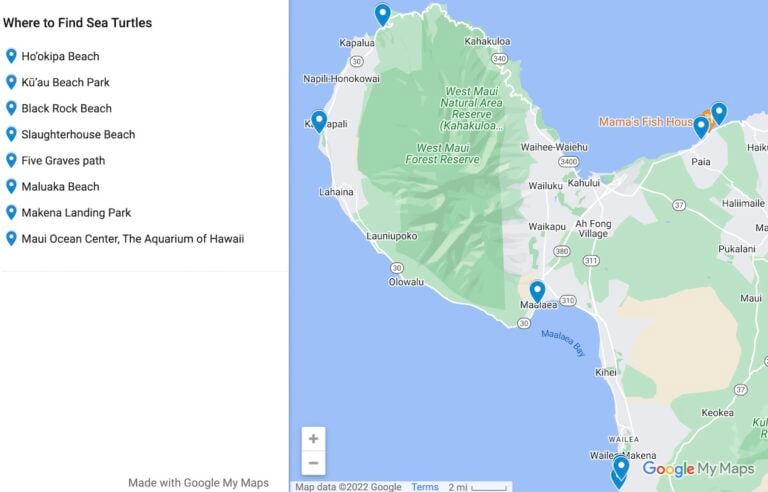 Maui’s Turtle Beach: 8 Tried-and-True Spots for Sea Turtle Sightings In ...