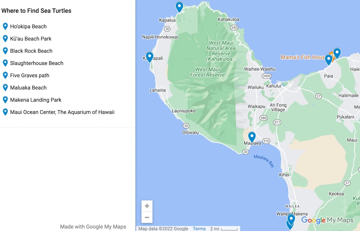 Maui’s Turtle Beach: 8 Tried-and-True Spots for Sea Turtle Sightings In ...