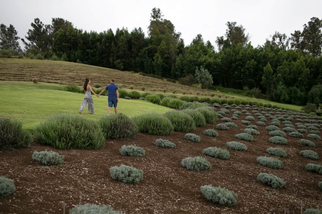 17 Irresistible Maui Farm Tours — From Local Crops to Cute Critters ...