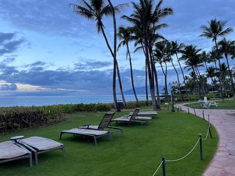 Walk in Paradise Along the Wailea Beach Path: A Self-Guided Coastal ...