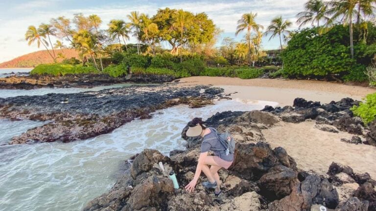 Your Guide to Makena Cove: Maui’s Secret Beach is Practically Private in Every Way - Maui Trip ...