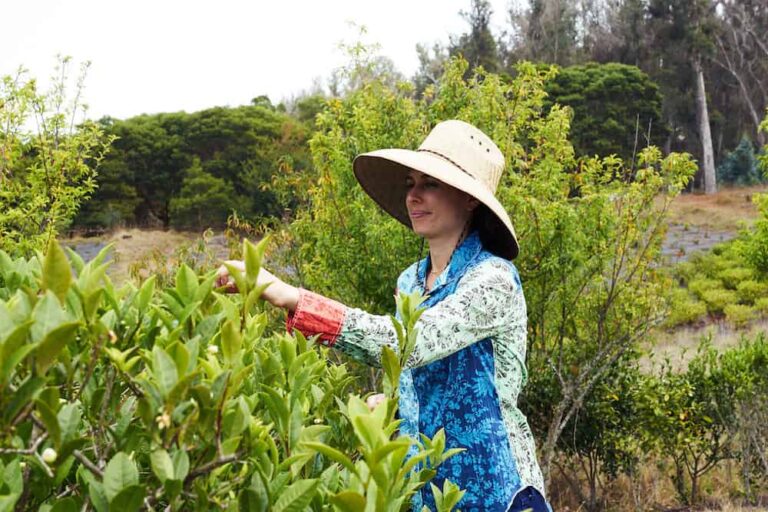 17 Irresistible Maui Farm Tours — From Local Crops to Cute Critters ...