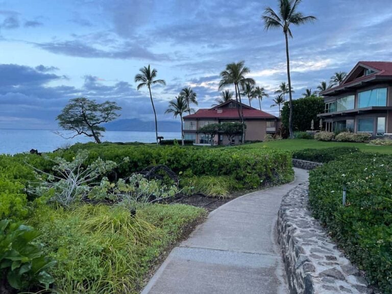 Walk in Paradise Along the Wailea Beach Path: A Self-Guided Coastal ...